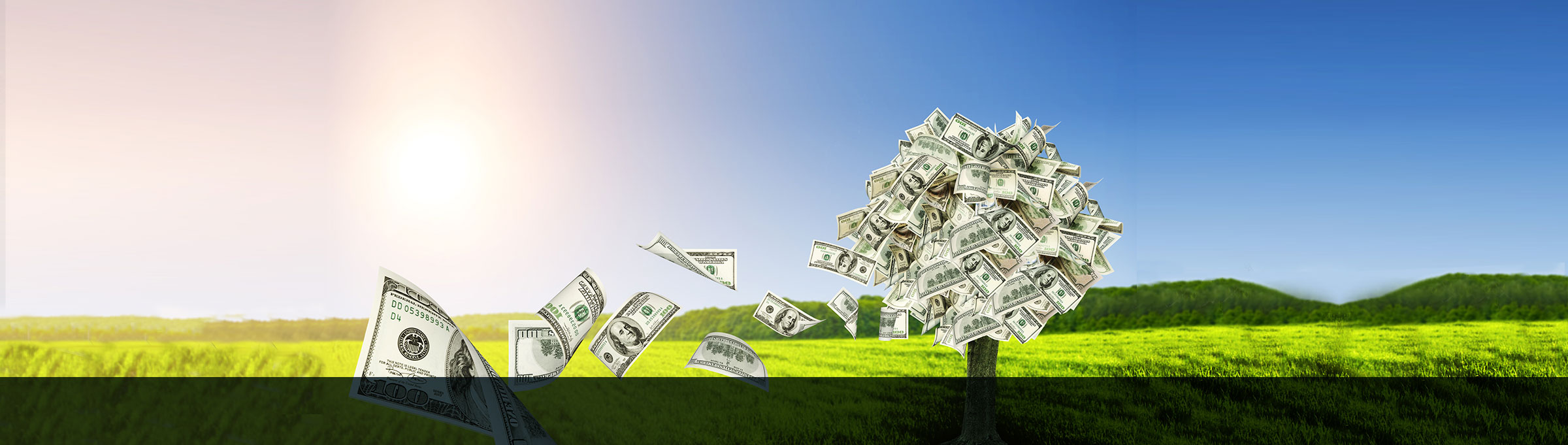 Paper Money Banner Designs